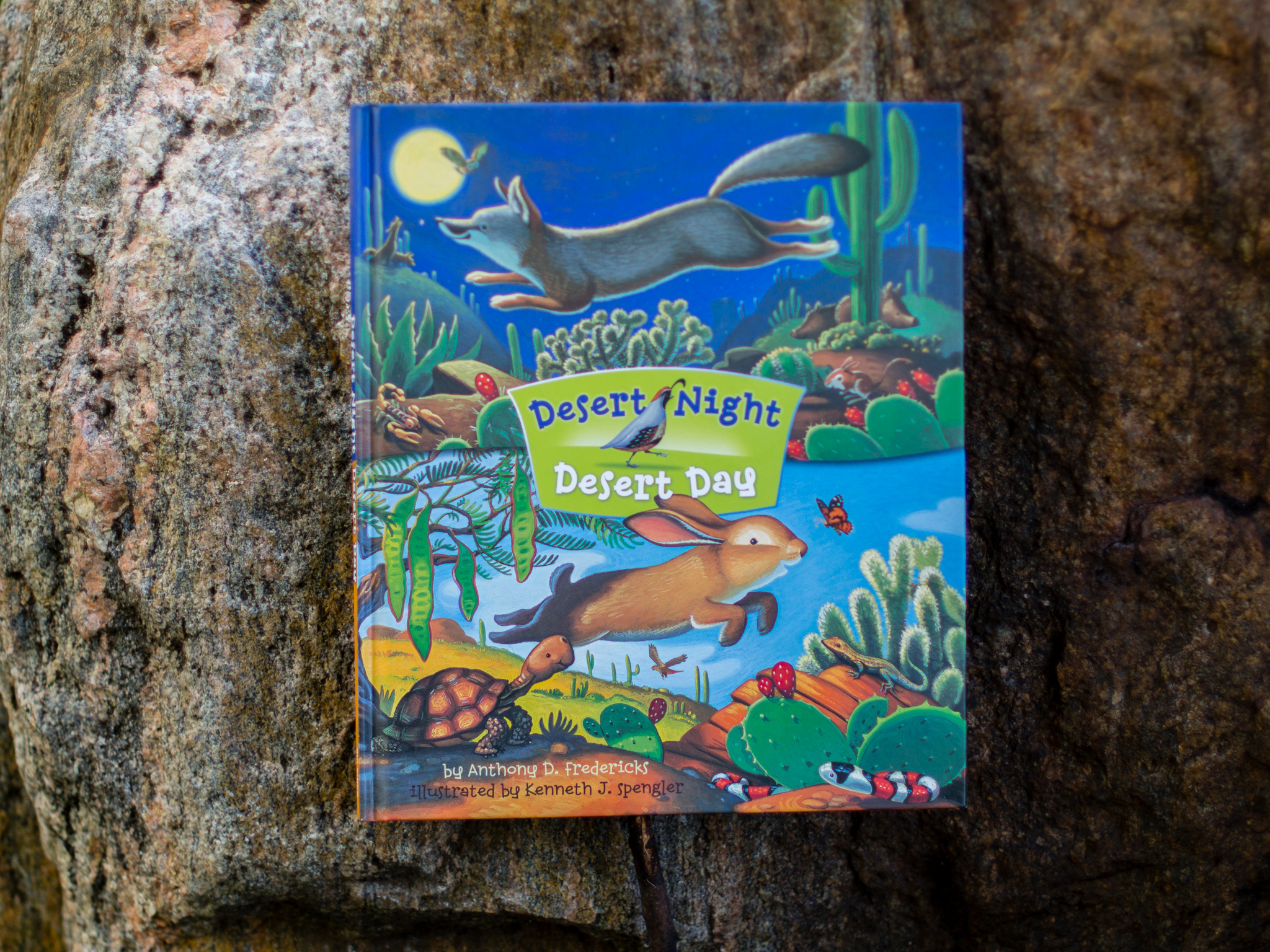 Our Top Ten Favorite Adventure Books for Babies and Toddlers | We Found ...