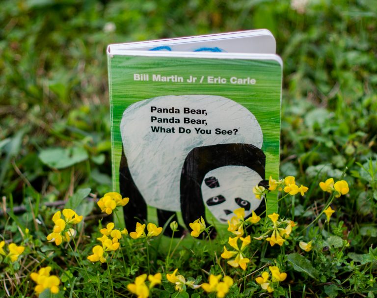 Our Top Ten Favorite Adventure Books for Babies and Toddlers | We Found ...